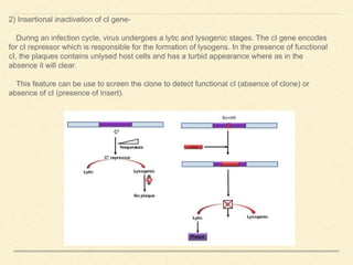 Methods of screening | PPTX