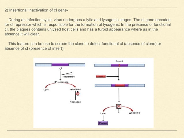 Methods of screening | PPTX