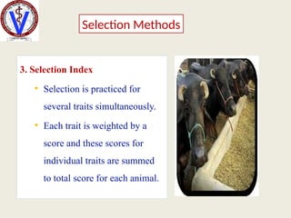 methods of selection genetics population.pptx