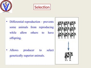 methods of selection genetics population.pptx