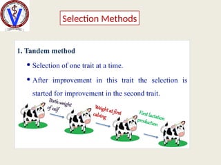 methods of selection genetics population.pptx