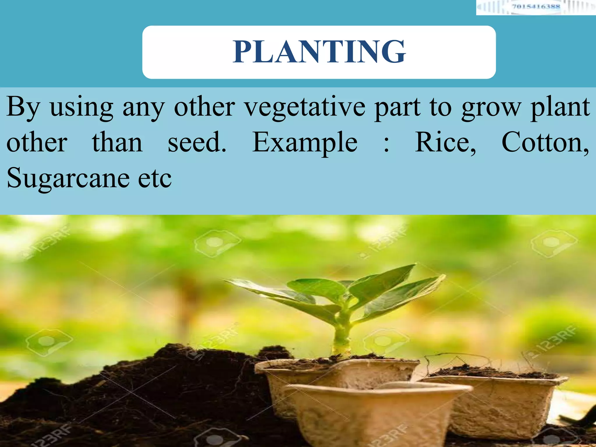 METHODS OF SOWING.pptx