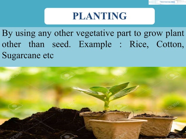 Methods Of Sowing Pptx