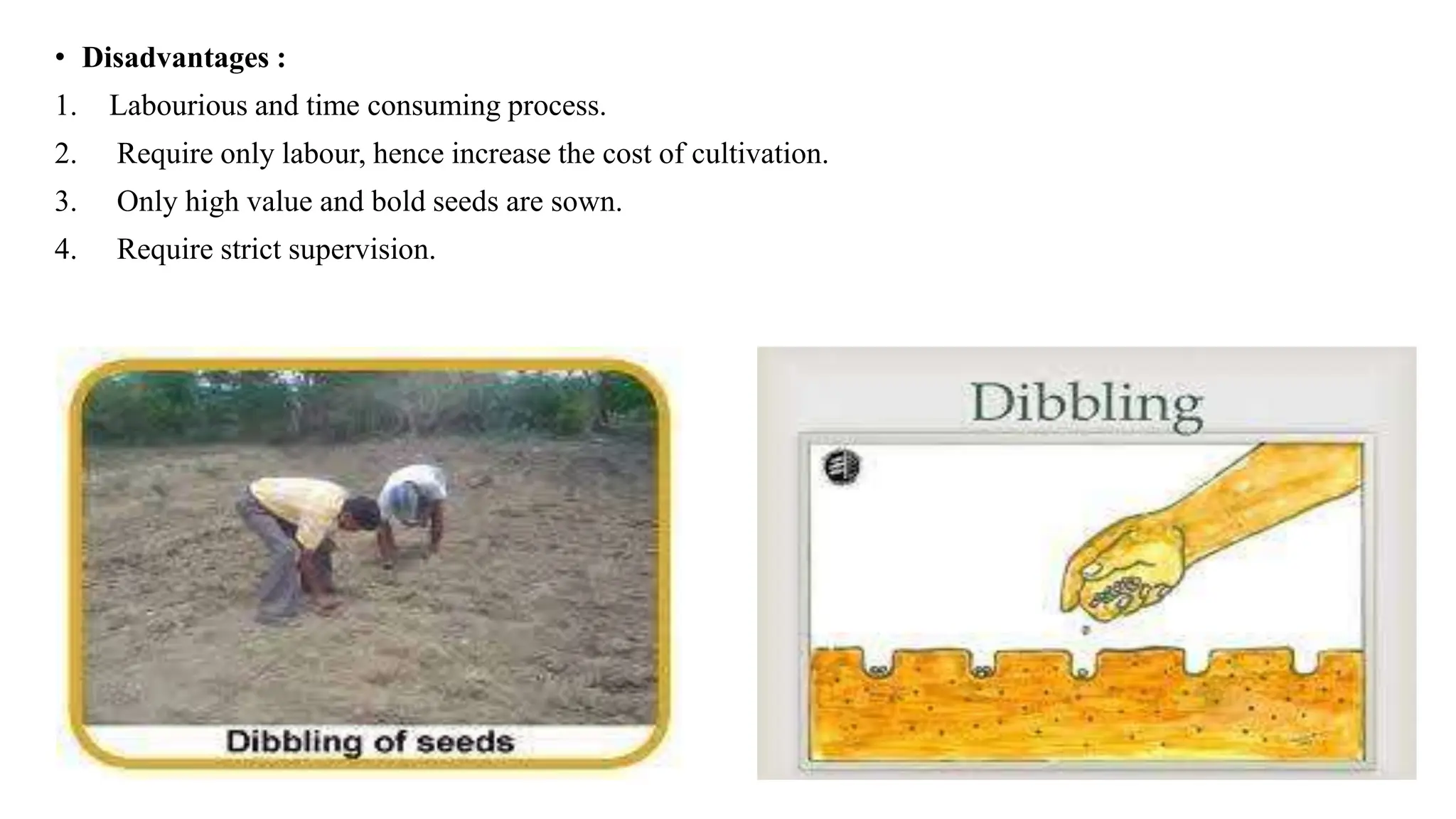 Methods of sowing.pptx Methods of sowing.pptx