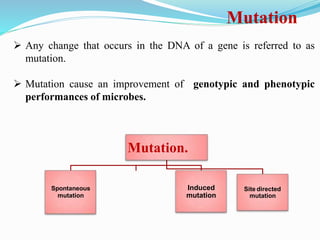 Methods of strain development by mutation and isolation methods | PPTX