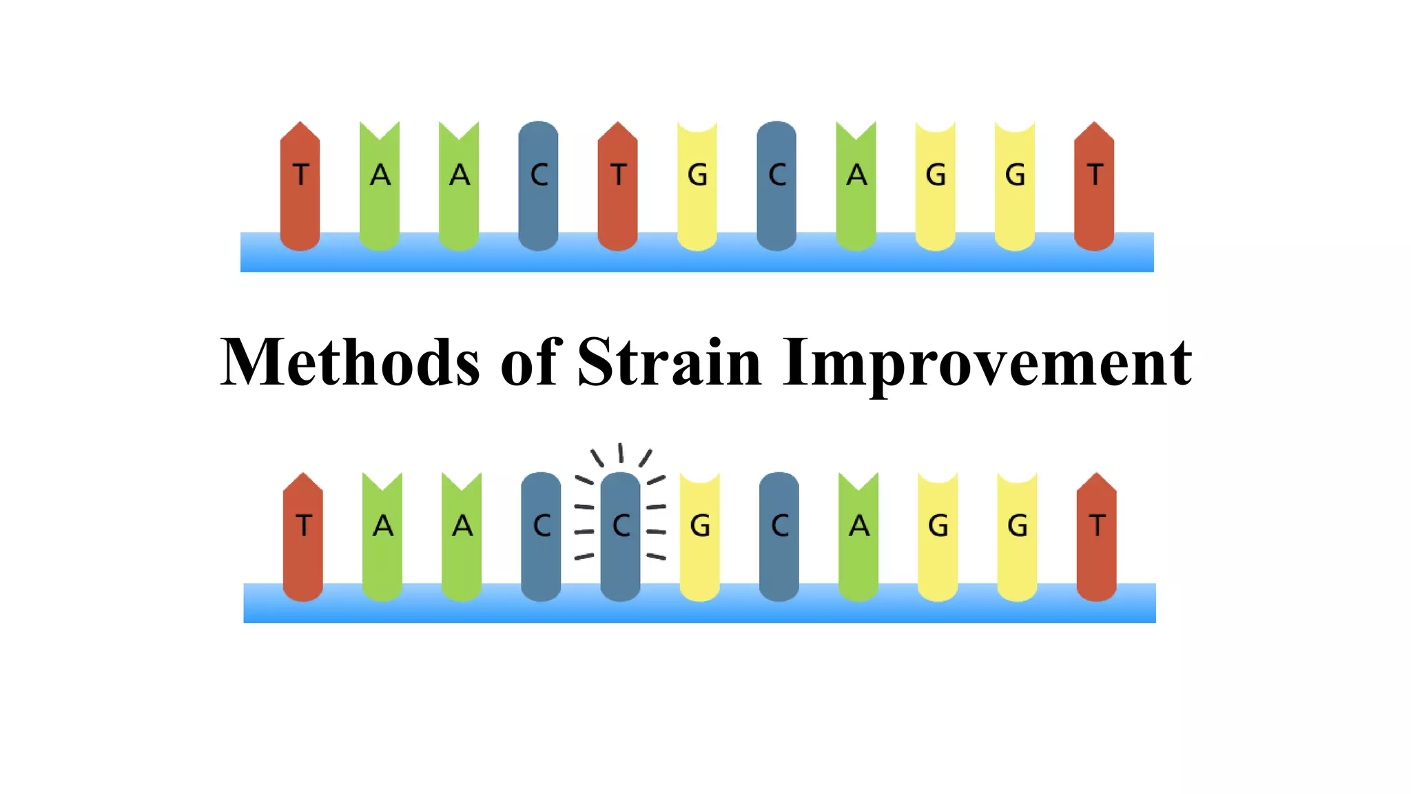Methods of strain improvement | PDF