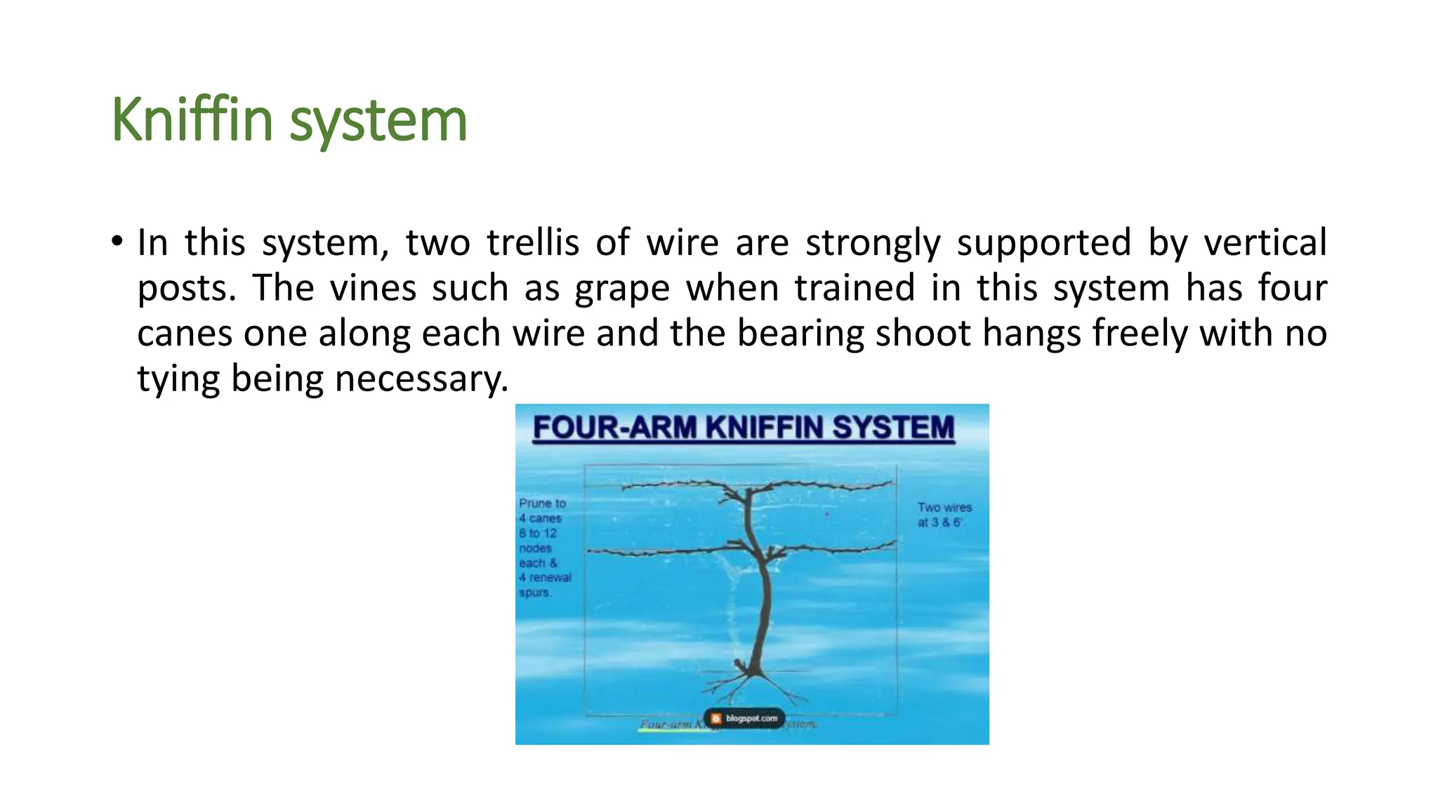 methods of training.pptx