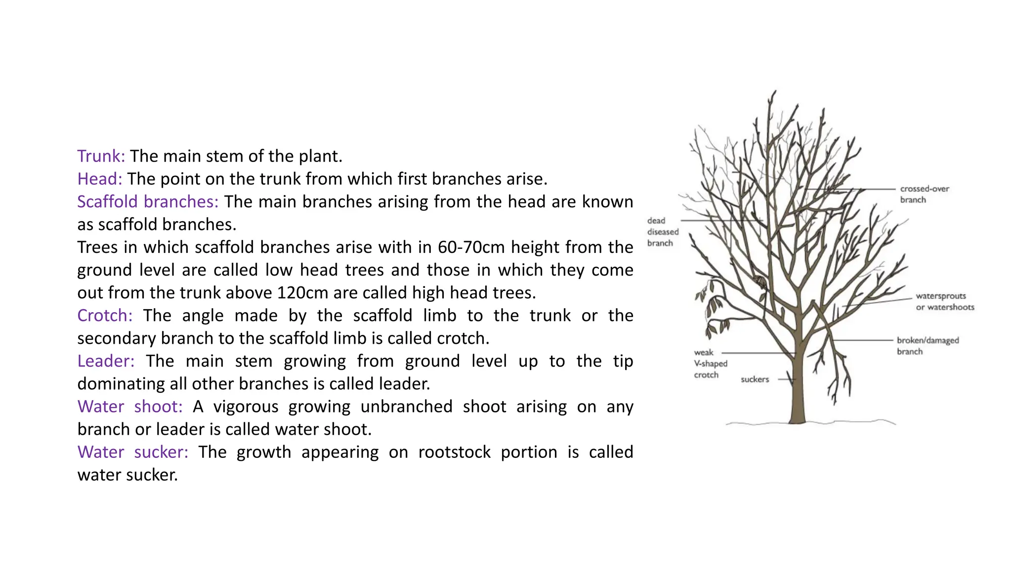 methods of training.pptx