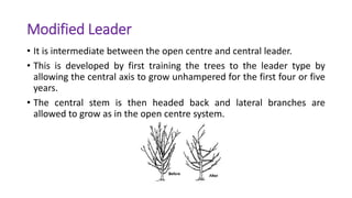 methods of training.pptx