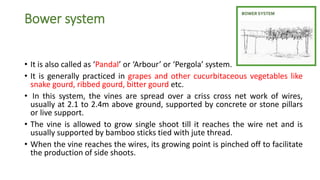 methods of training.pptx