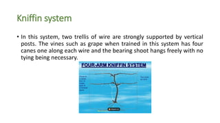 methods of training.pptx