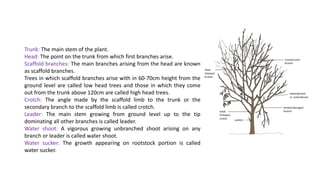 methods of training.pptx