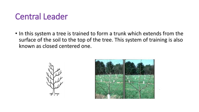 methods of training.pptx
