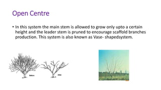 methods of training.pptx