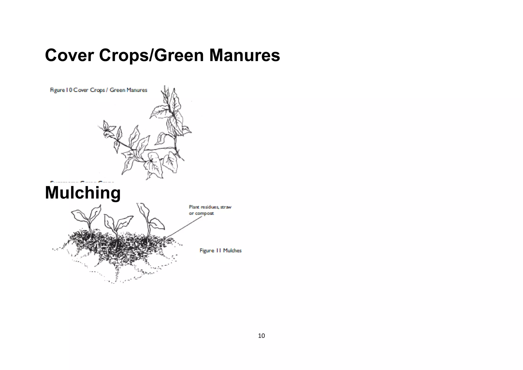 Methods of water conservation | PDF