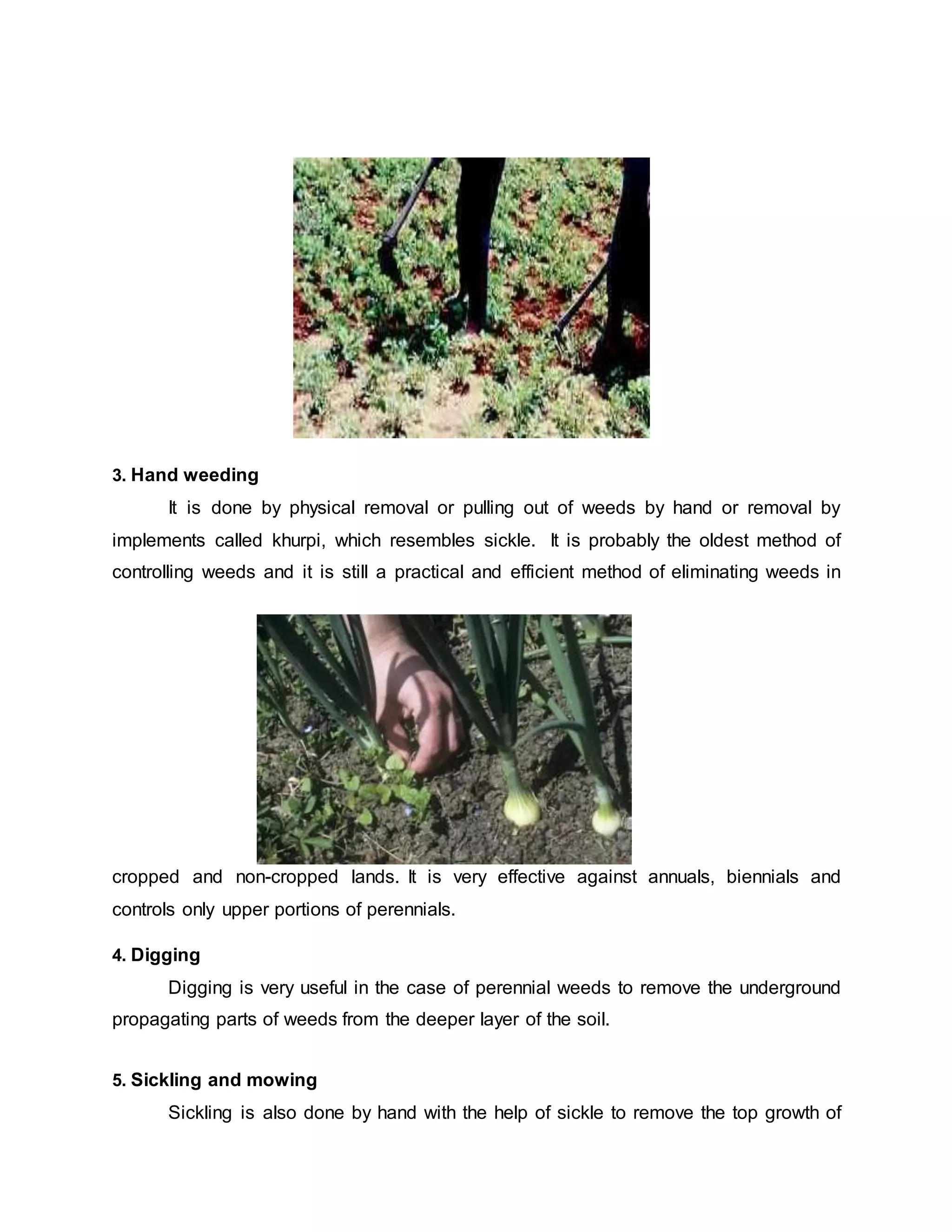 Methods of weed control | DOCX