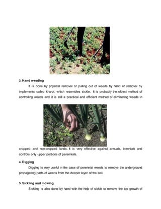 Methods of weed control | DOCX