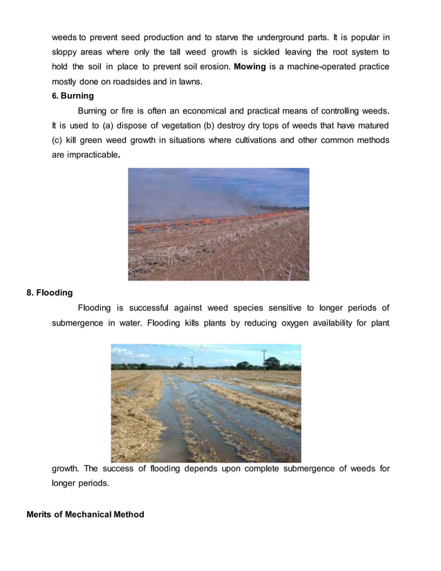 Methods of weed control | DOCX