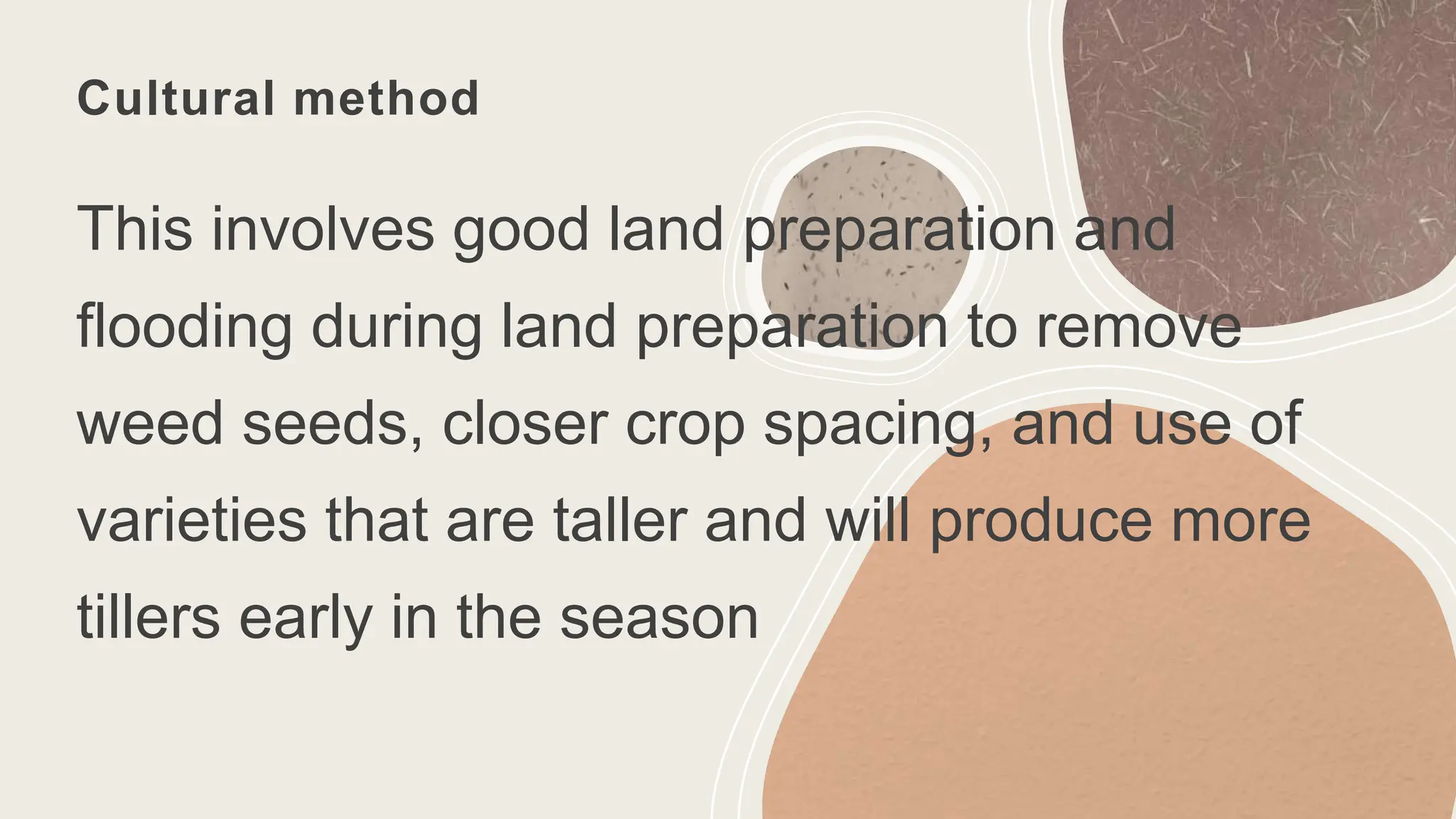 Methods of Weed Control AGRICROP PRODUCTION | PPTX