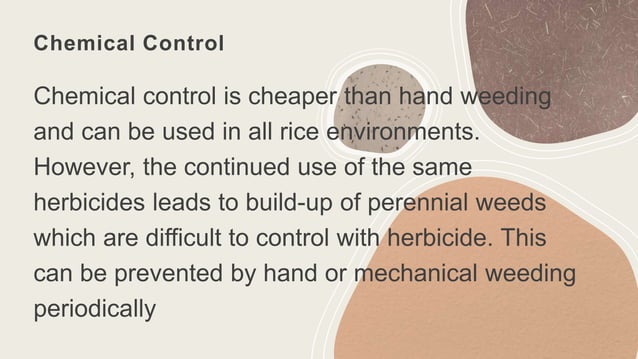 Methods of Weed Control AGRICROP PRODUCTION | PPTX | Agriculture ...