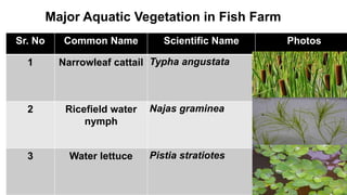 Methods of weederadication in fish pond.pptx