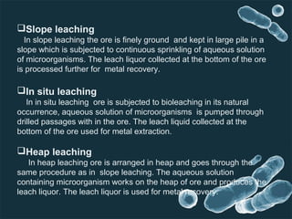 bio leaching | PPT