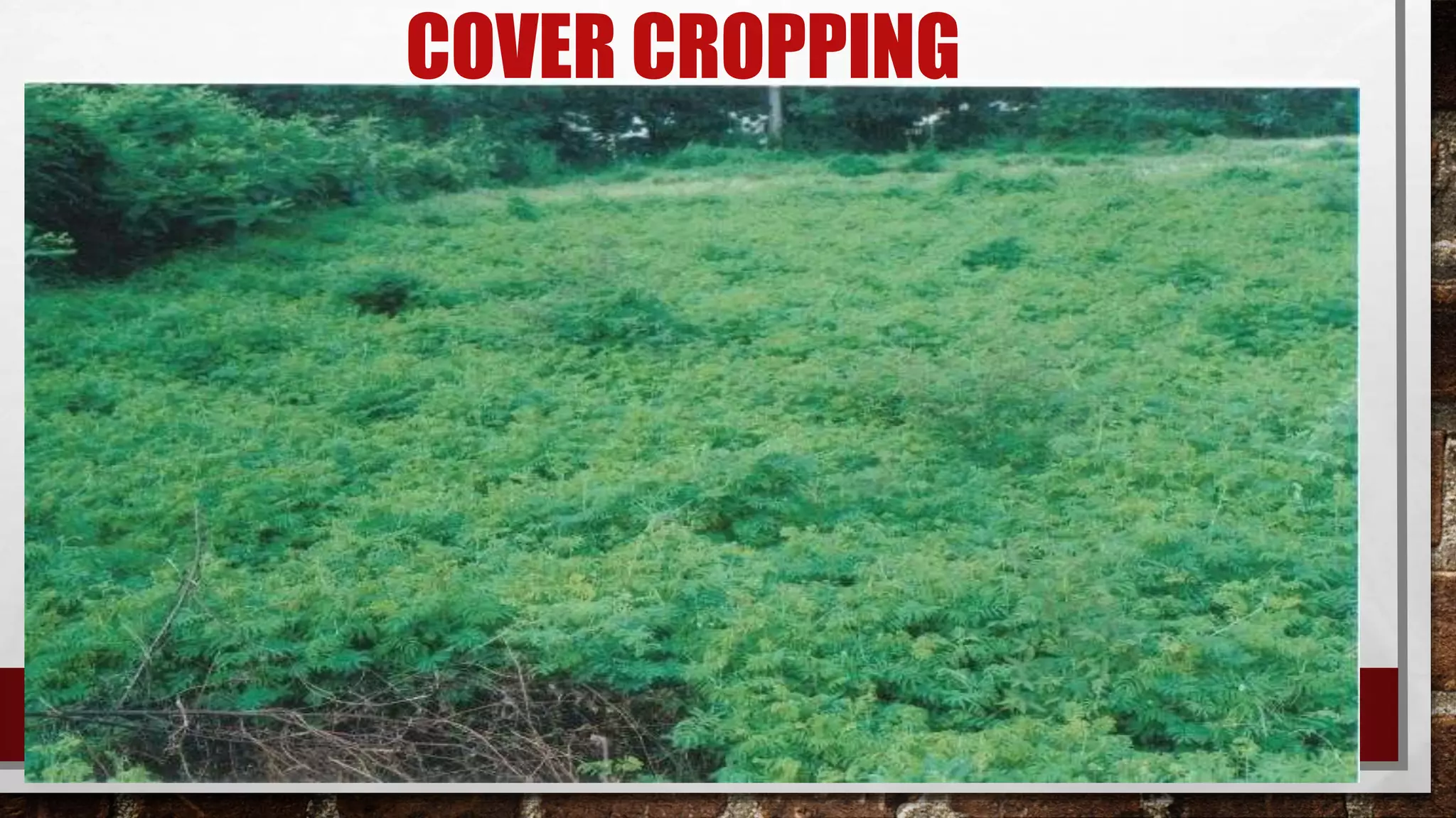 Methods to control soil erosion and water run off | PPTX