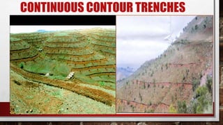 Methods to control soil erosion and water run off | PPTX | Agriculture ...