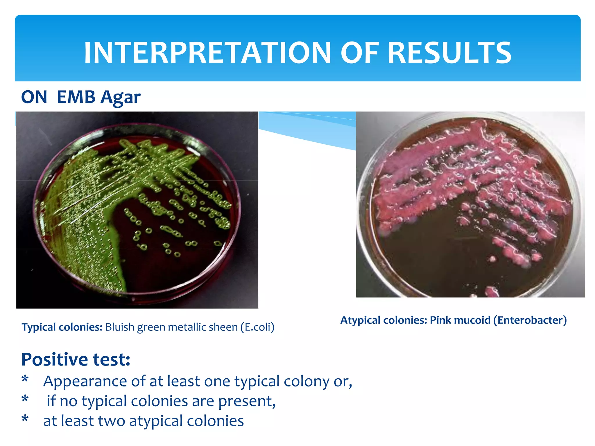 Methods to detect potability of water sample | PDF