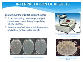Methods to detect potability of water sample | PDF