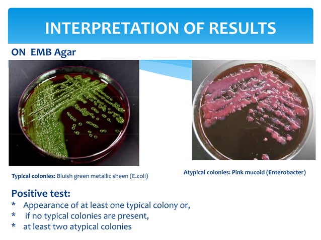 Methods to detect potability of water sample | PDF | Infectious ...