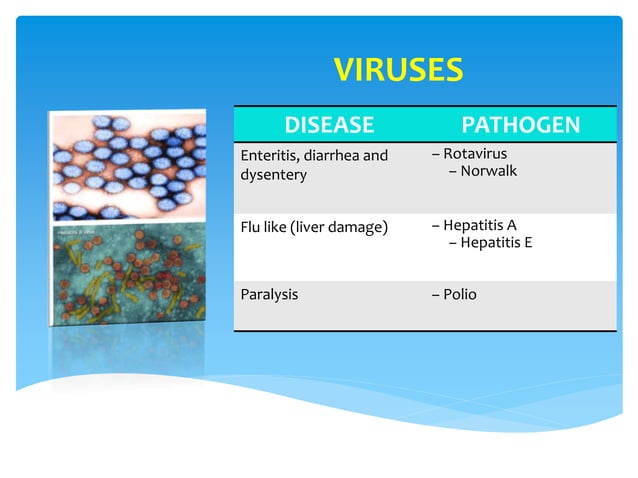 Methods to detect potability of water sample | PDF | Infectious ...