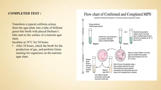 Methods to detect potability of water sample.pptx