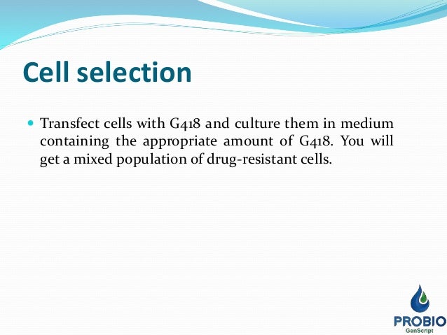 Methods to Generate Stable Cell Lines.pptx