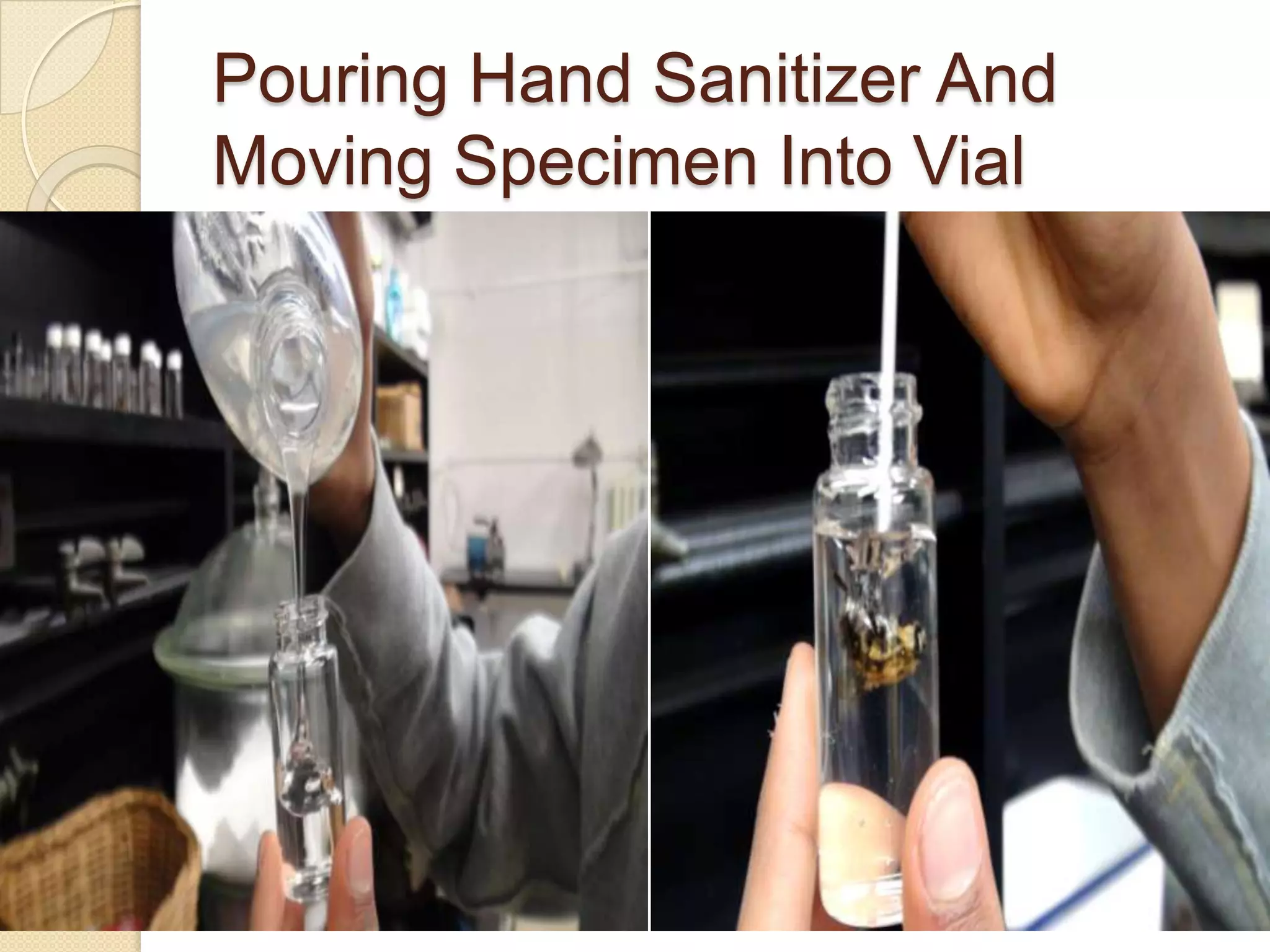 Methods to preserve specimens | PPTX