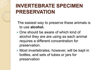 Methods to preserve specimens | PPTX