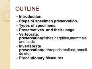 Methods to preserve specimens | PPTX