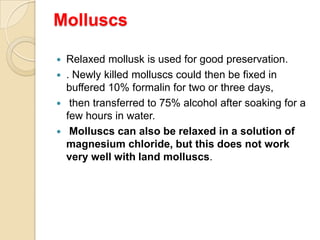 Methods to preserve specimens | PPTX