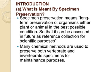 Methods to preserve specimens | PPTX