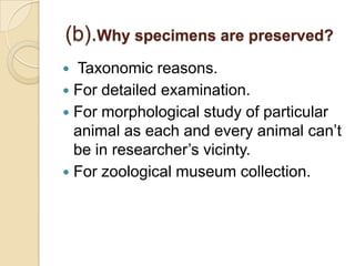 Methods to preserve specimens | PPTX