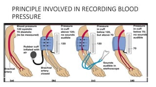 Methods to screen blood pressure | PPT