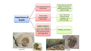 Different Methods to study evolution.pptx