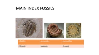 Different Methods to study evolution.pptx