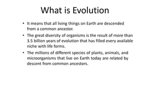 Different Methods to study evolution.pptx