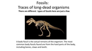 Different Methods to study evolution.pptx