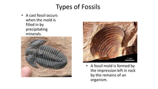 Different Methods to study evolution.pptx