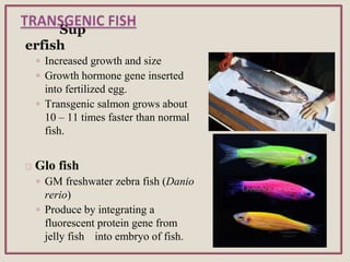 Methods used for animals-DNA micro injection.pptx