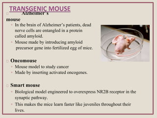 Methods used for animals-DNA micro injection.pptx