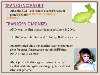 Methods used for animals-DNA micro injection.pptx