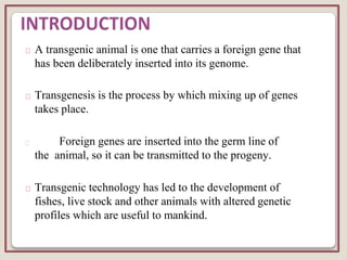Methods used for animals-DNA micro injection.pptx